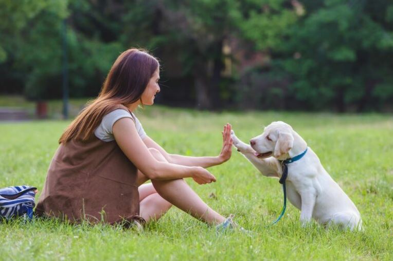 La importancia de sacar a pasear al perro | Es Chic